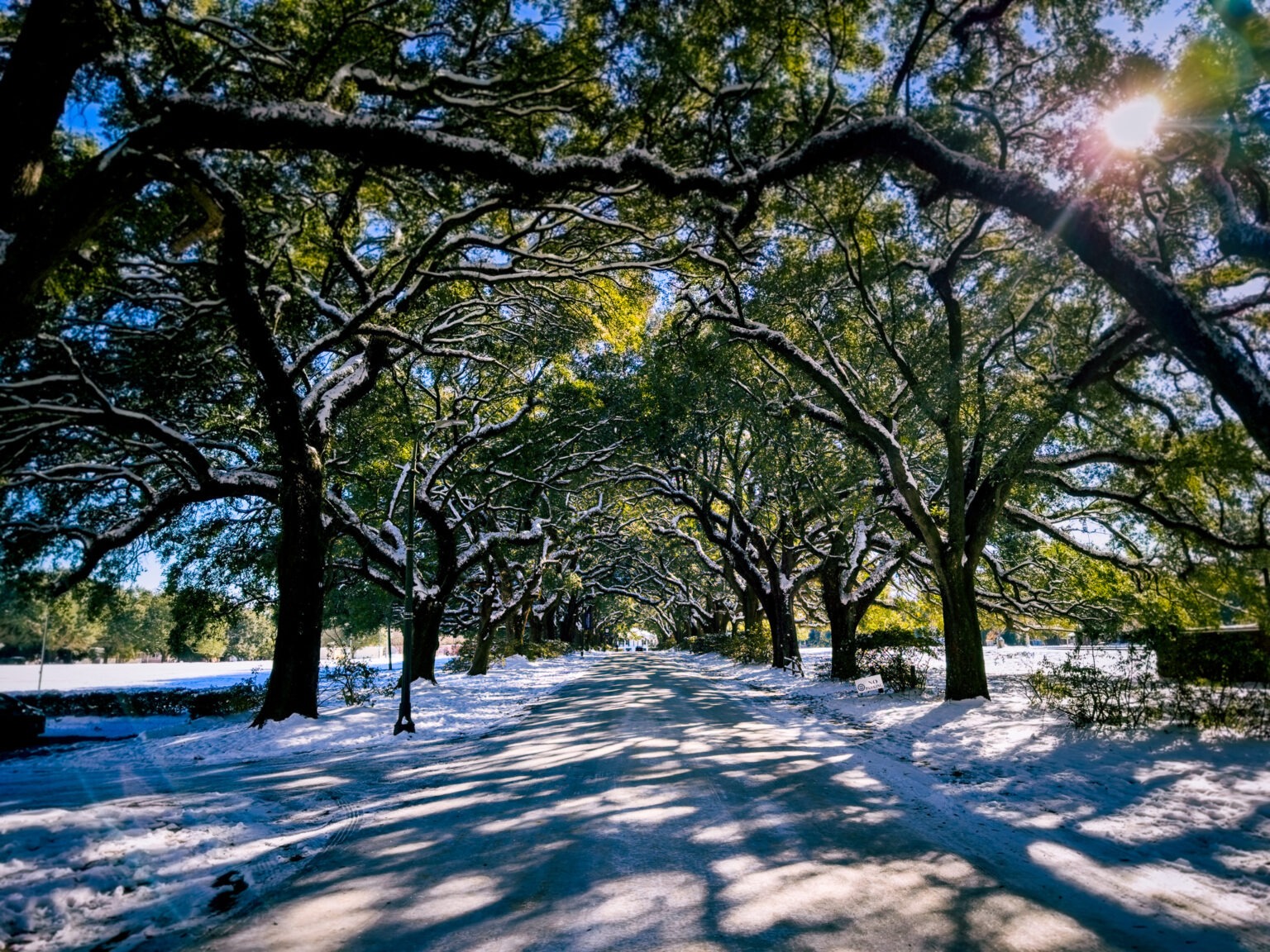 Freeze The Moment And Show Us Your Snow Photo Contest - www.shc.edu